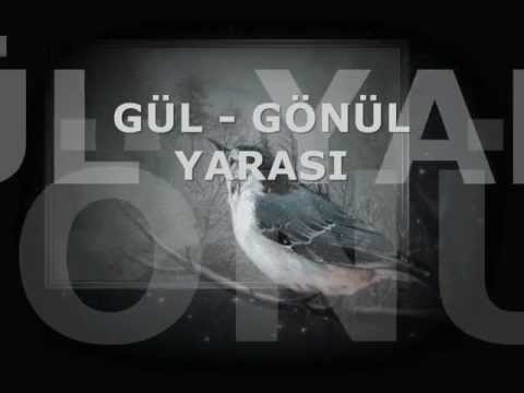 Şiir - GÜL / GÖNÜL YARASI ( Güzel Bir Türkü Eşliğinde )