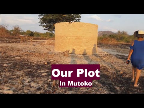 Our Plot in Mutoko - YouTube