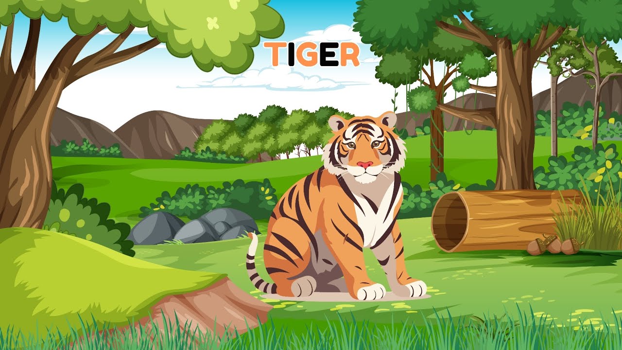 Tiger | Animal Facts for Children - YouTube