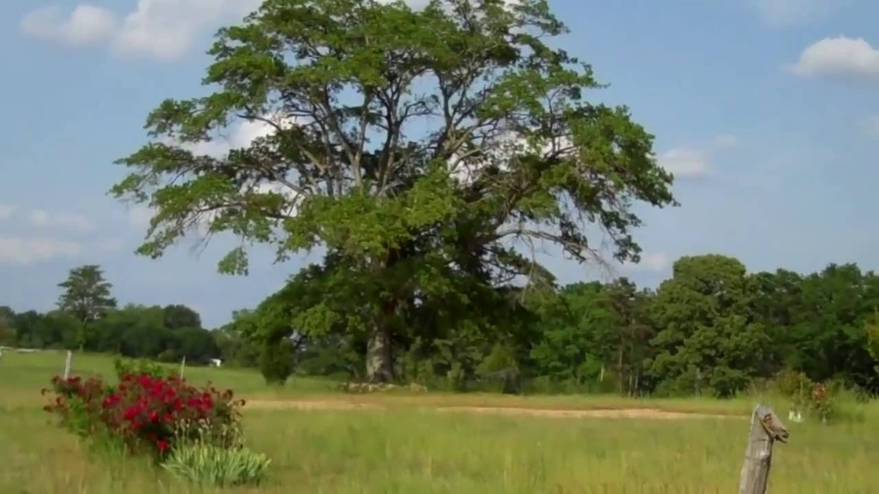 Anderson County,SC..Beautiful countryside of south Anderson.28 hiway ...
