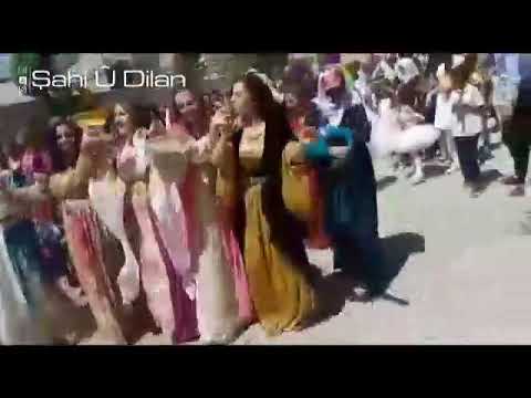 eşira marunsiya yeni mahalle van