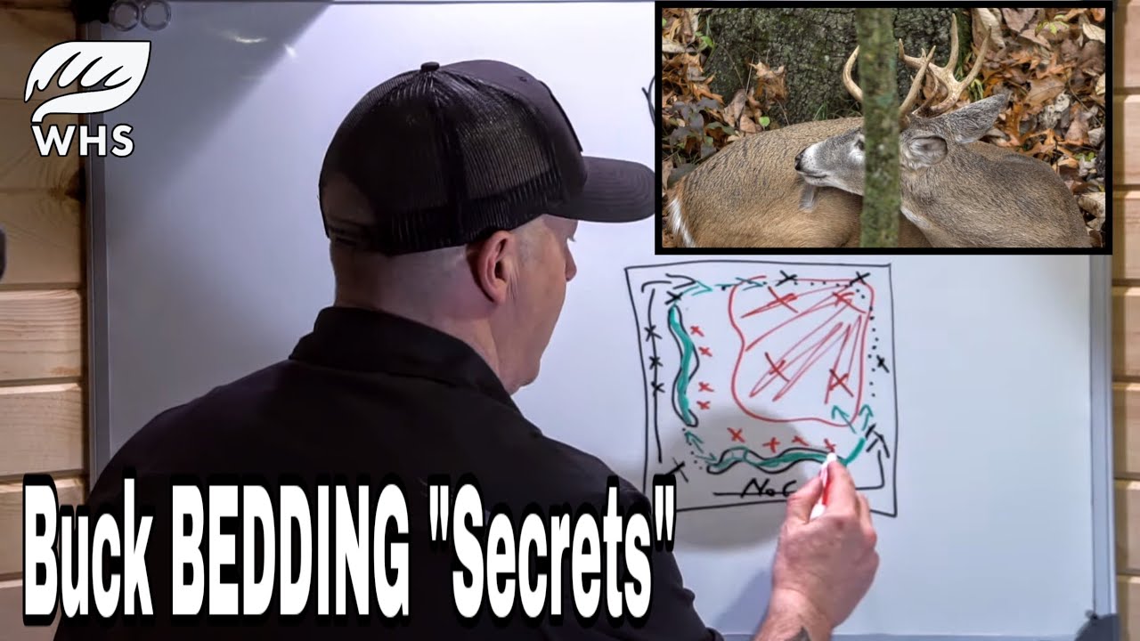 #1 Big Buck Bedding Strategy For Small Parcels - YouTube