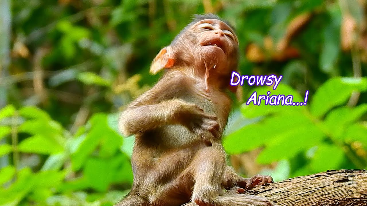 Feel no power of Life | My Angel Ariana is so sad - YouTube