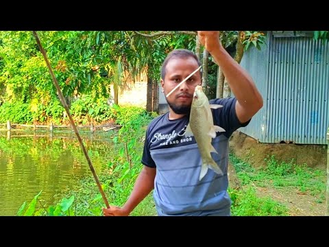 Amazing Hook Fishing Video || Traditional Hook Fishing in Village Smart ...