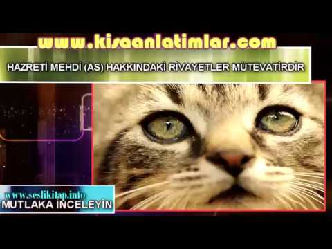 HAZRETİ MEHDİ AS HAKKINDAKİ RİVAYETLER MÜTEVATİRDİR