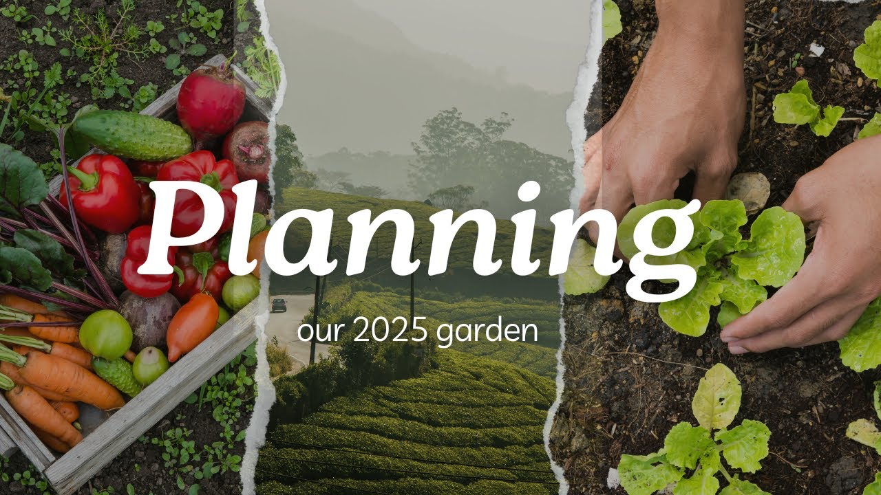 Planning our 2025 Spring Garden! - YouTube