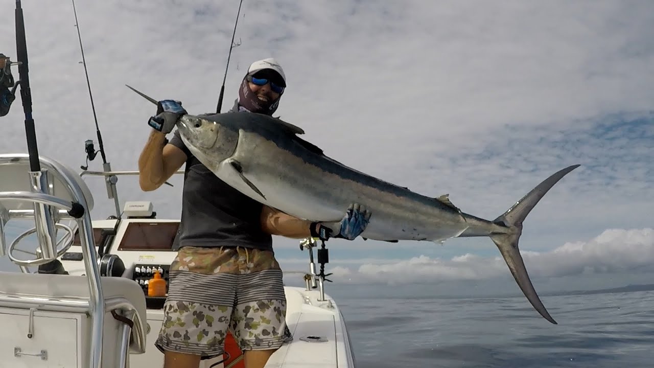 This Is How I Catch A Marlin Solo - YouTube
