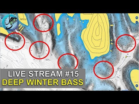 Where to Find Deep Winter Bass | Fish the Moment Live Stream #15 ...