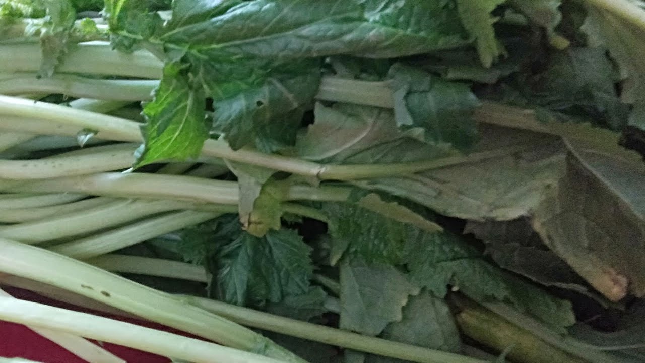 gud evening today full livestream 9 june 2023 - YouTube