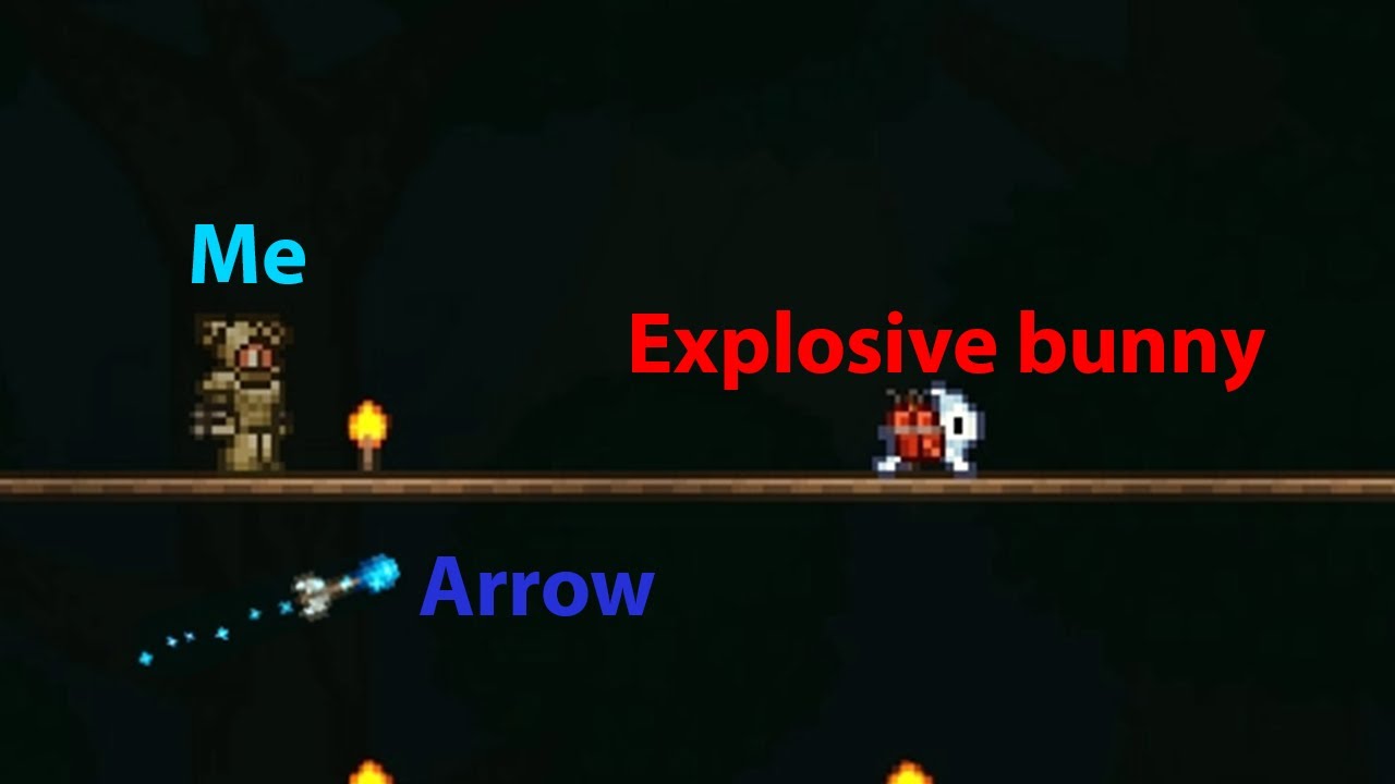 EPIC terraria snipe - YouTube