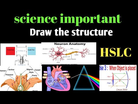 10 science important diagrams||science diagrams hslc exam||10 science ...