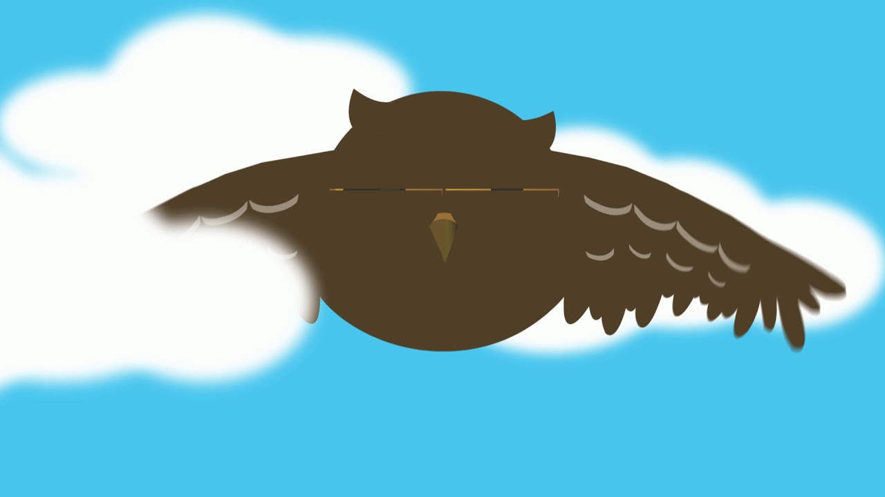 Flying Owl 2D Animation | Adobe After Effects | 2020 - YouTube