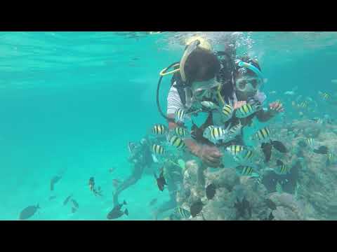 Scuba diving by little girl - YouTube