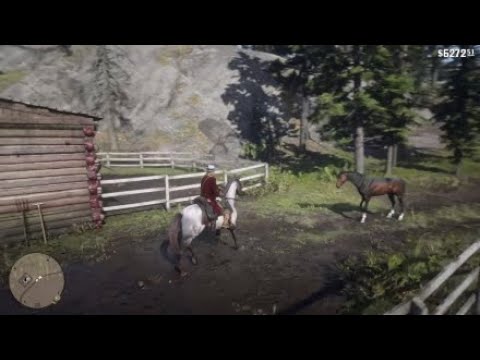 getting 3 stable horses* out of the stable - YouTube