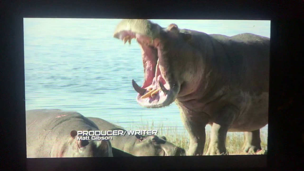 Animal science end credits - YouTube