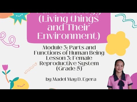 Part II:Biology (Living Things and Their Environment)| Lesson 3:Female ...
