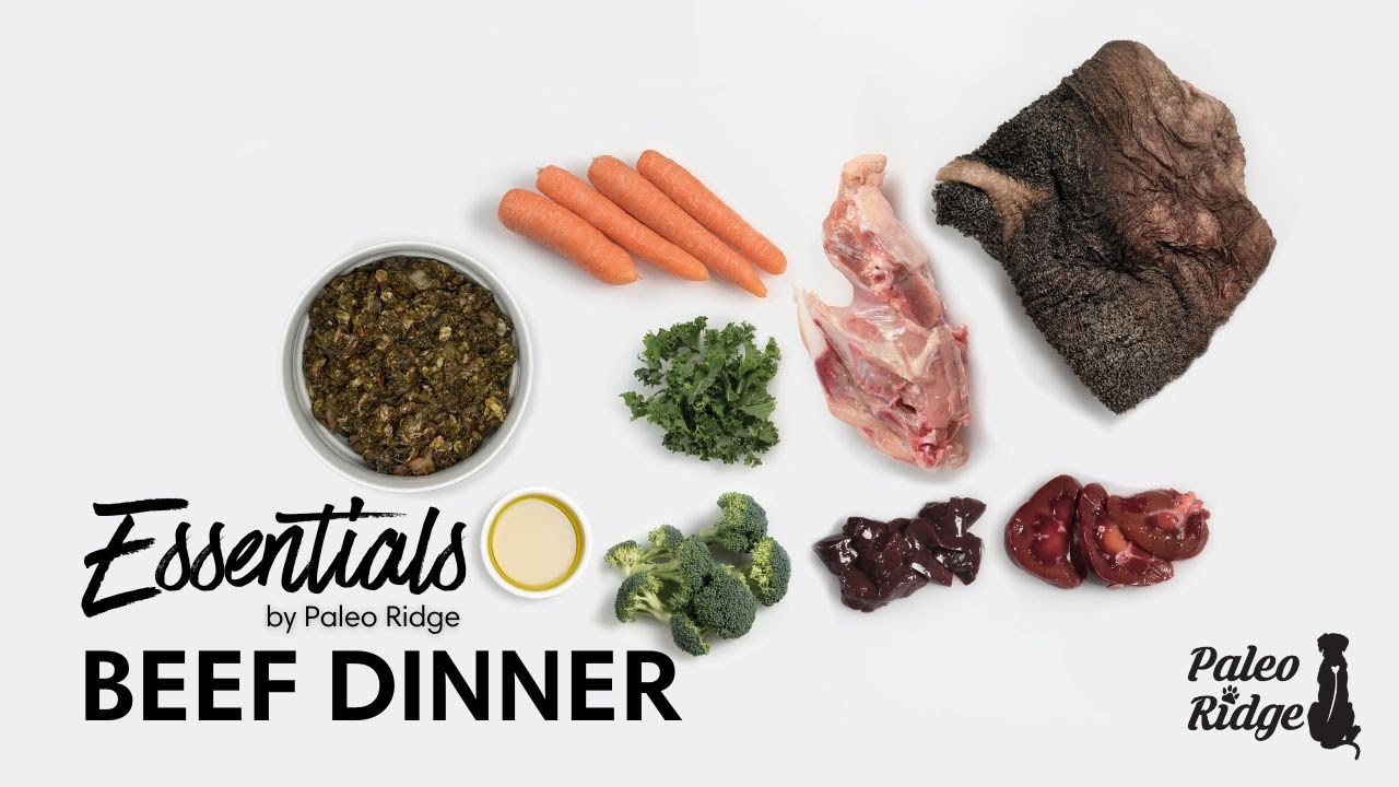 Introducing Essentials Beef Dinner by Paleo Ridge - YouTube