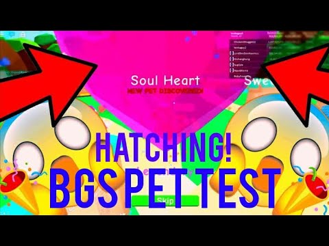 🔥BGS PET TEST ATUALIZAÇÃO!!🔥 - 😱HATCHING!😱 - YouTube