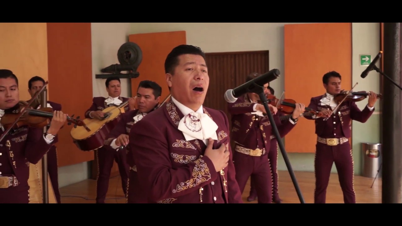 Huapango de Jose Alfredo - Internacional Mariachi Puebla - YouTube
