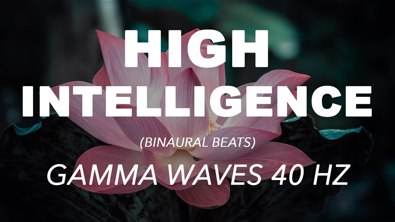 High Intelligence Gamma Wave Binaural Beats Music, Focus, Memory, Study Music - YouTube Music