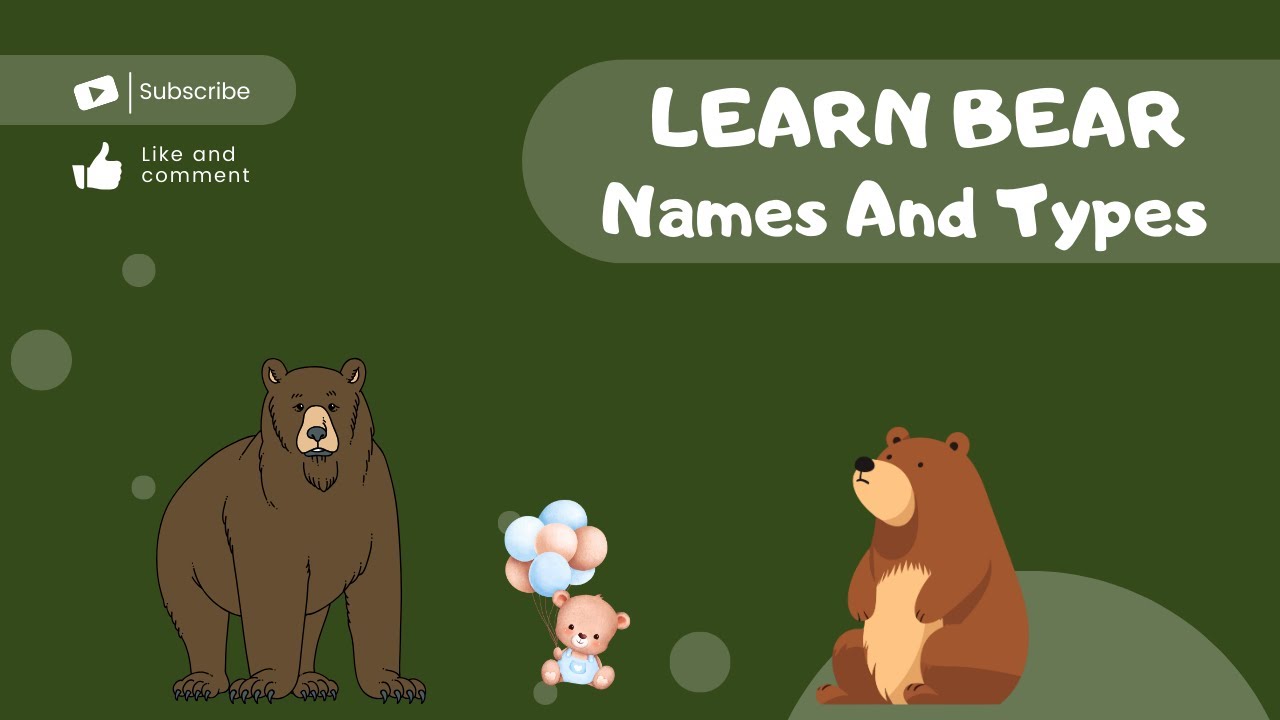 Fun Facts About Bears for Kids! 🐻 Learn All About Bears! - YouTube