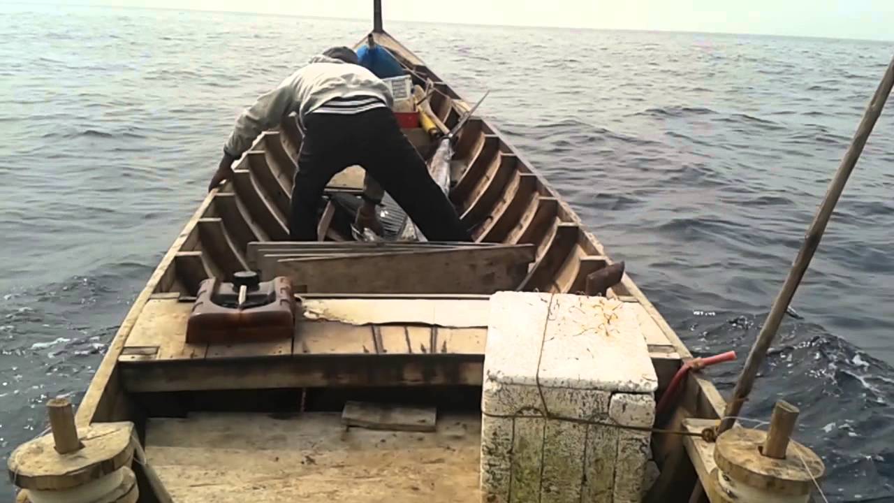 Mancing ikan besar di jaring halus - YouTube