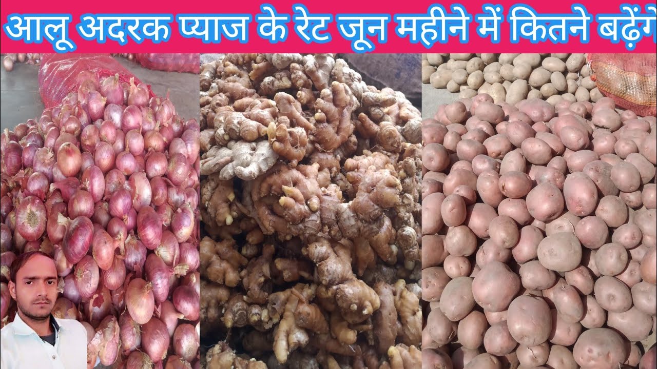 आलू अदरक प्याज के रेट जून महीने में कितने बढ़ेंगे|aalu bhav | adrak ...