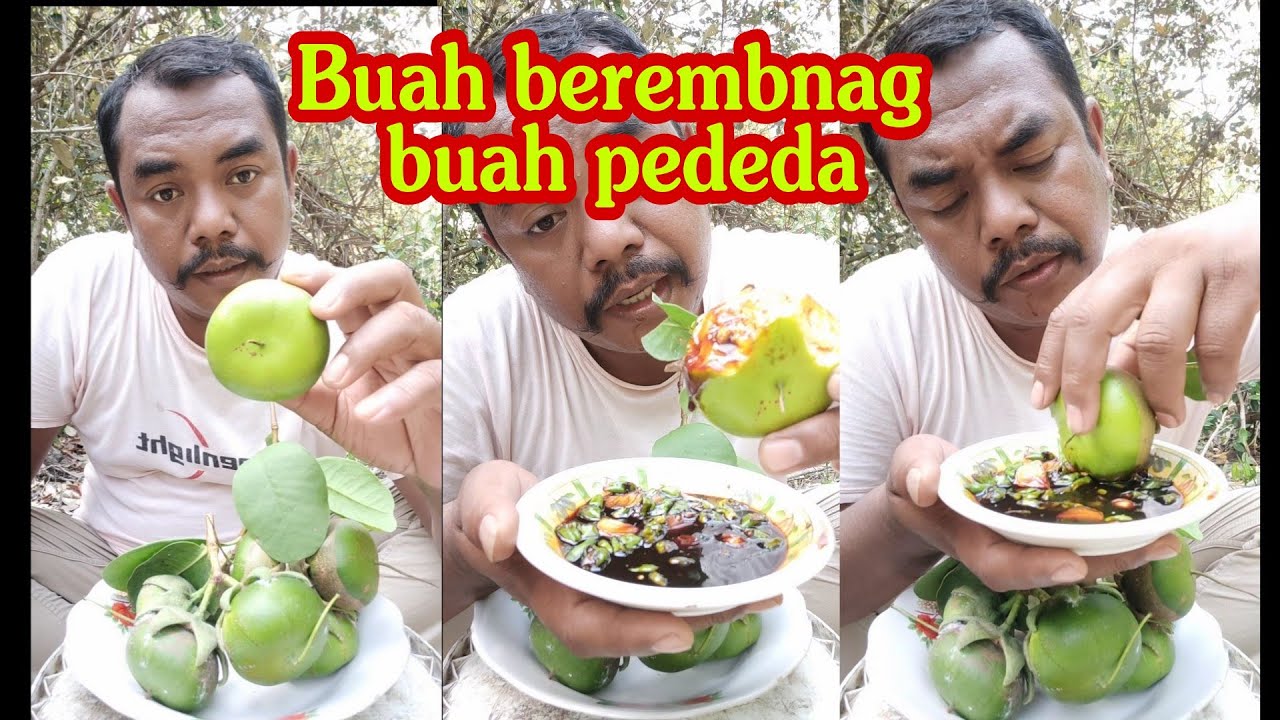 Makan buah berembang |Buah pedada - YouTube