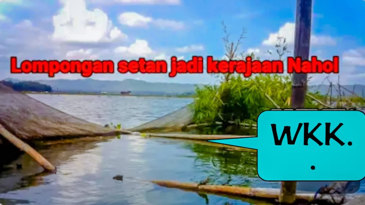 Mancing ikan nila di kerajaan Nahol - YouTube
