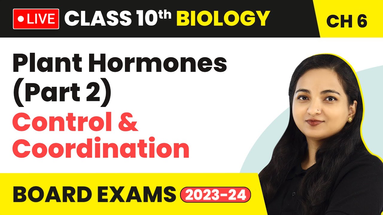 Plant Hormones (Part 2) - Control and Coordination | Class 10 Biology ...