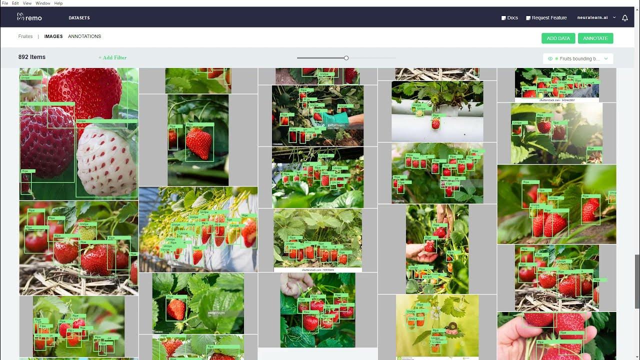 YOLO v3 Easy Custom Object Detection with TensorFlow 2 (1/2) - Strawberry Dataset Preparation ...