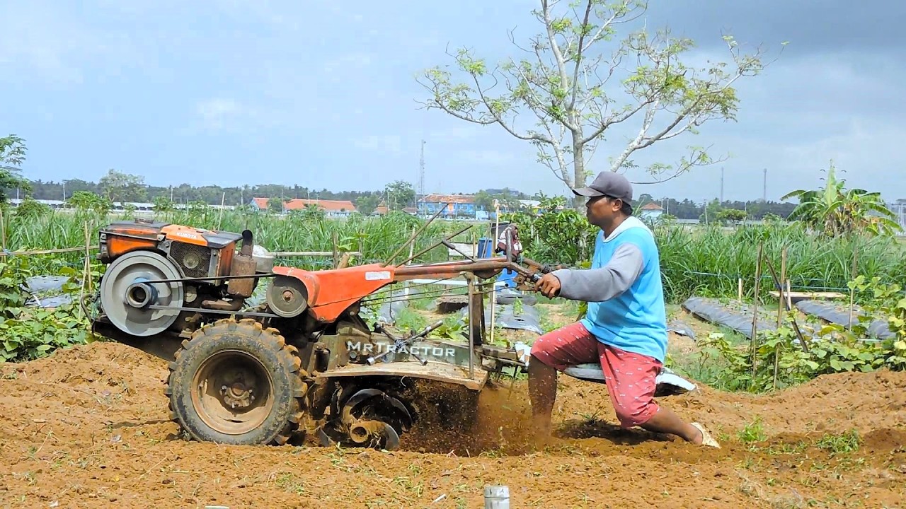 Hand Tractor Using Rotary Tiller Turning the Soil Over with Rotating ...