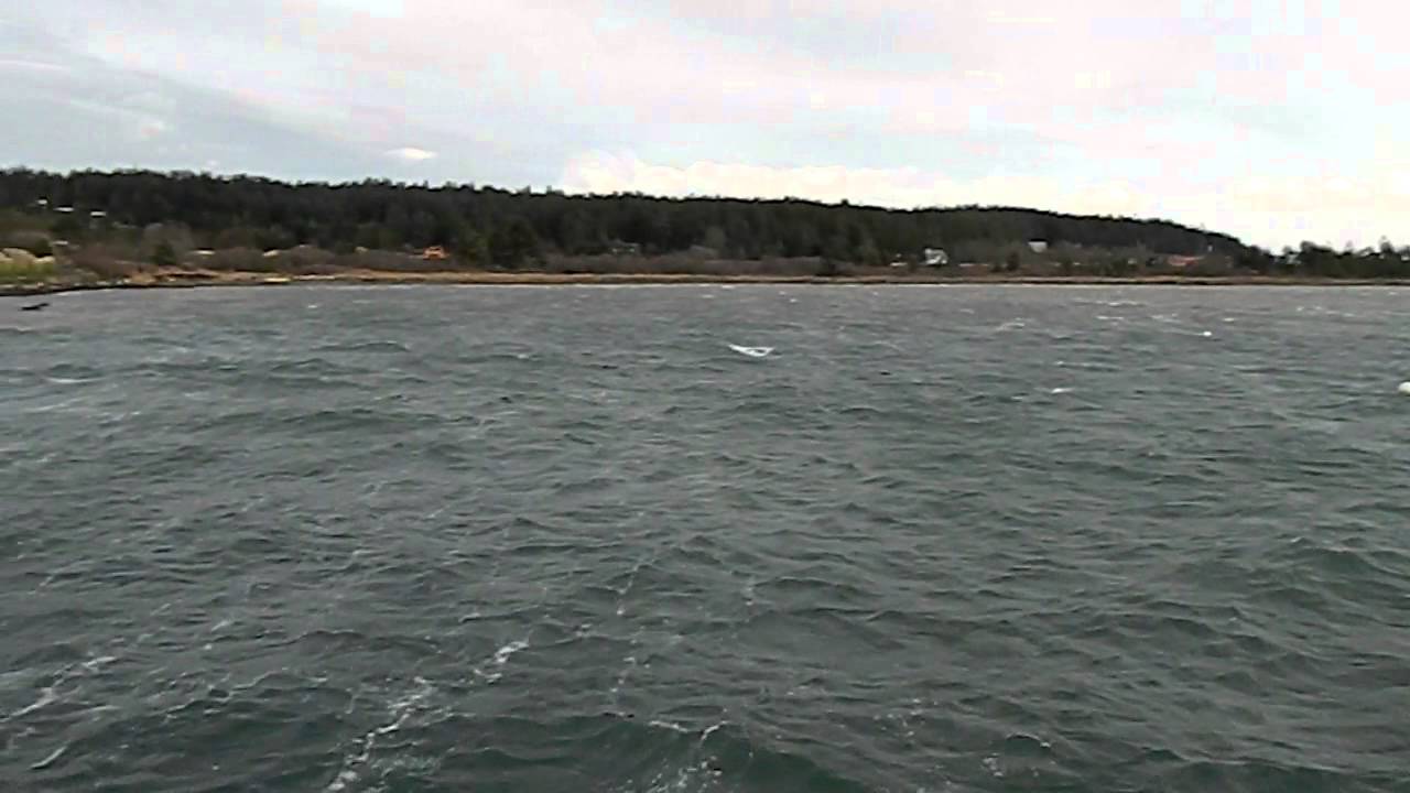 Decatur Island blustery December day - YouTube