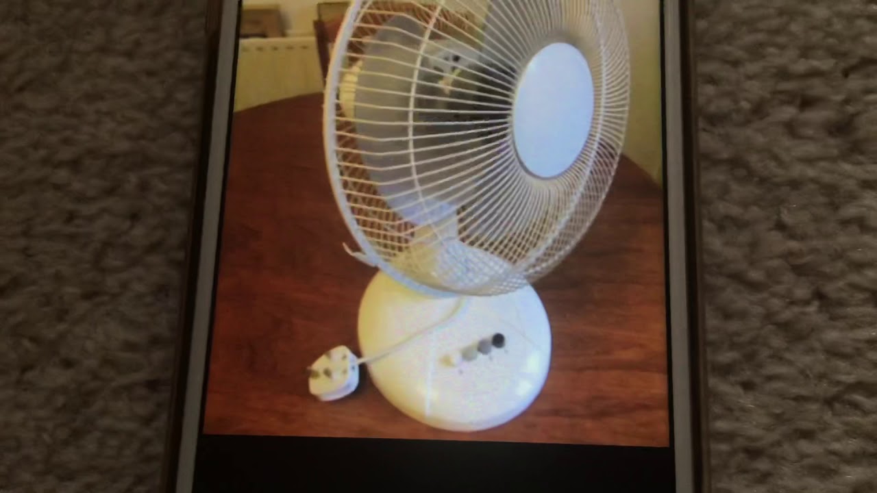 Me showing you a picture of what the 2007 Challenge 12 inch desk fan ...
