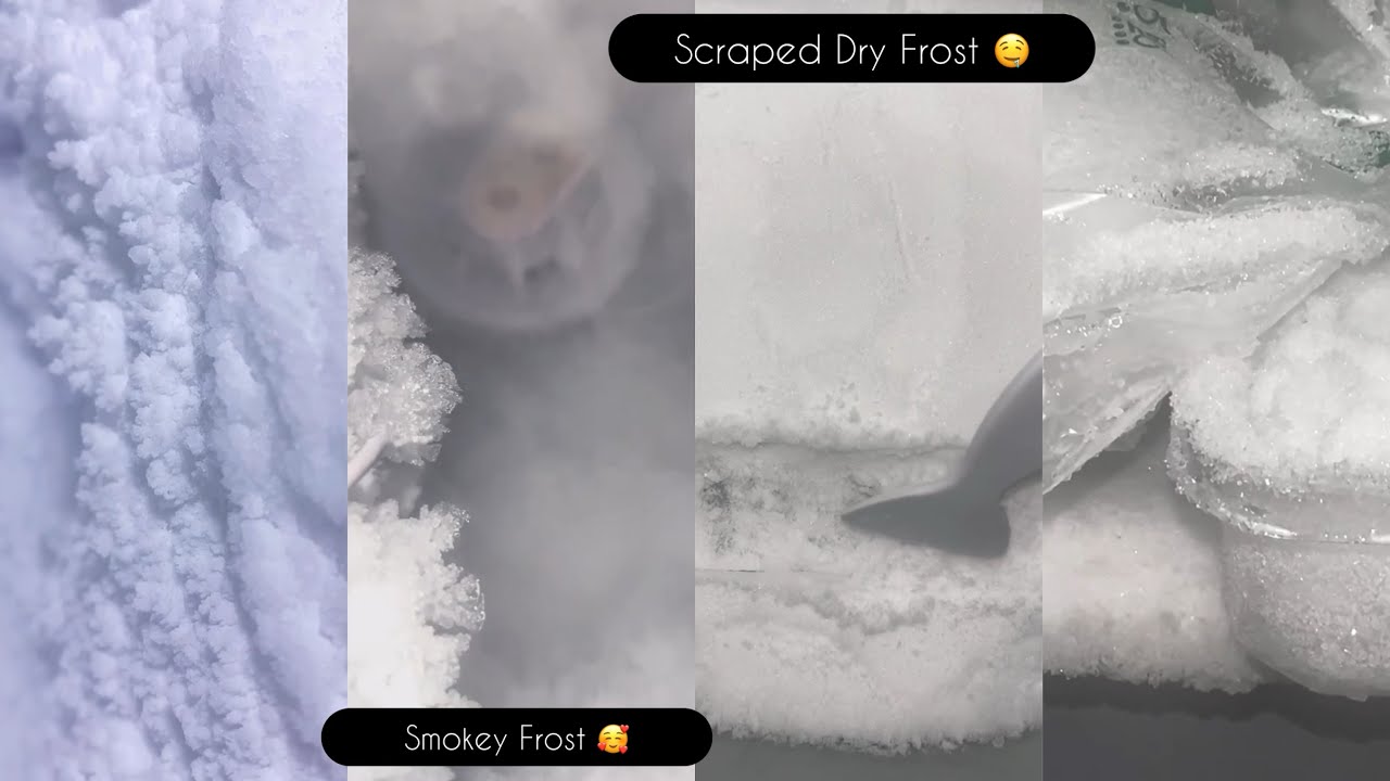 Frozen Freezer 🤤 SMOKE from the FREEZER 😍🫠 looks amazing 🤩 we always ...