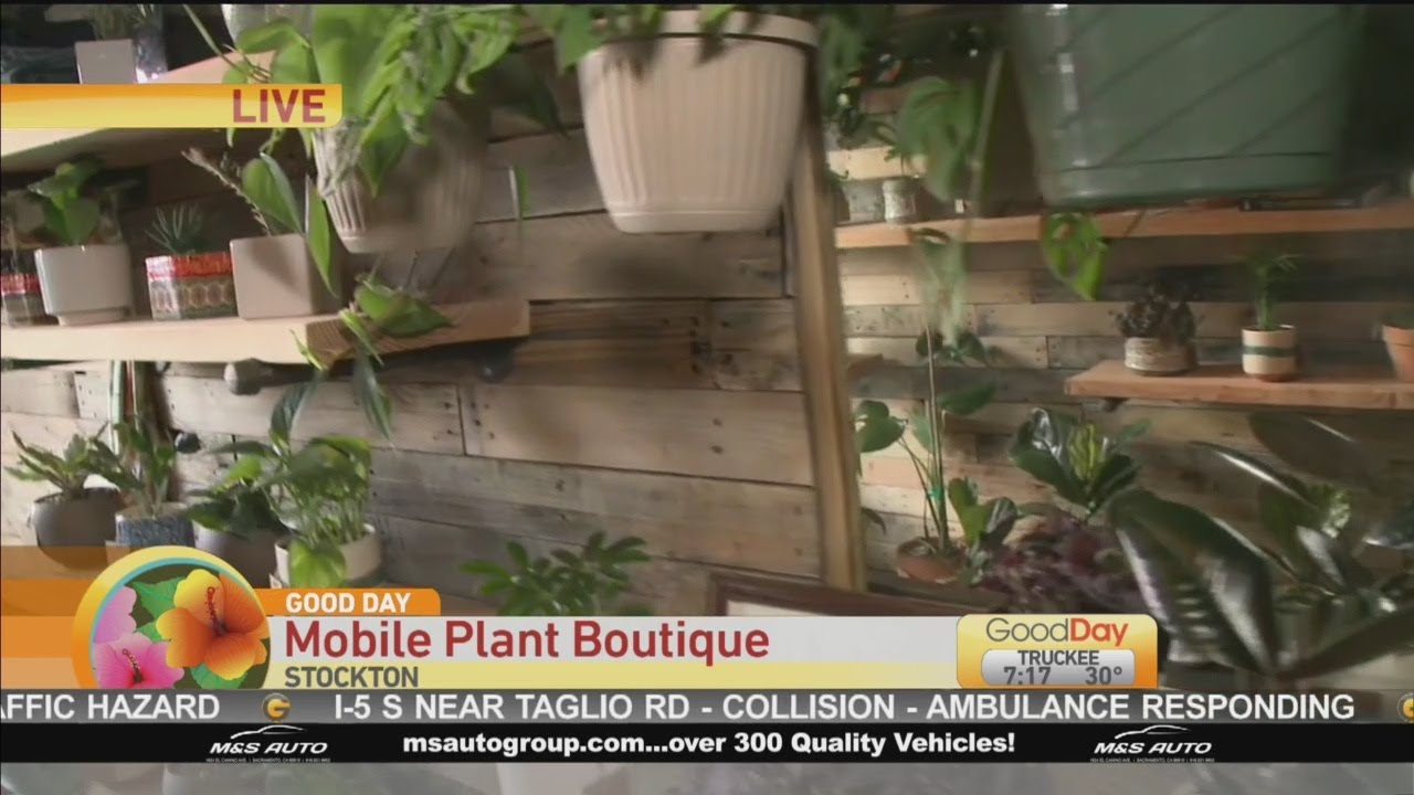 Mobile Plant Boutique - YouTube