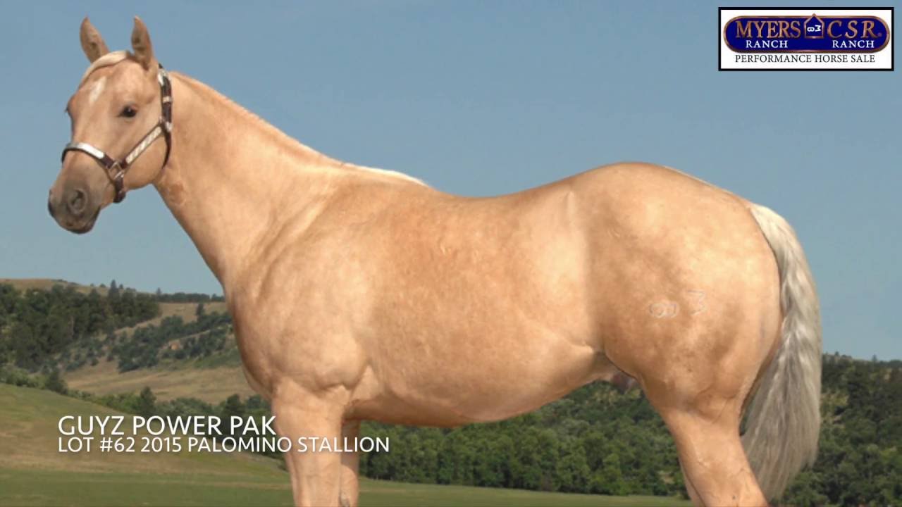 Guyz Power Pak - YouTube