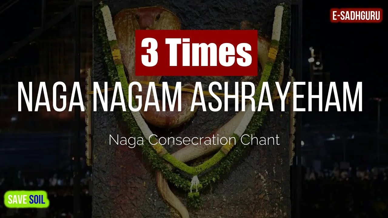 3 Times - Naga Nagam Ashrayeham _ Naga Consecration Chant _ Naga ...