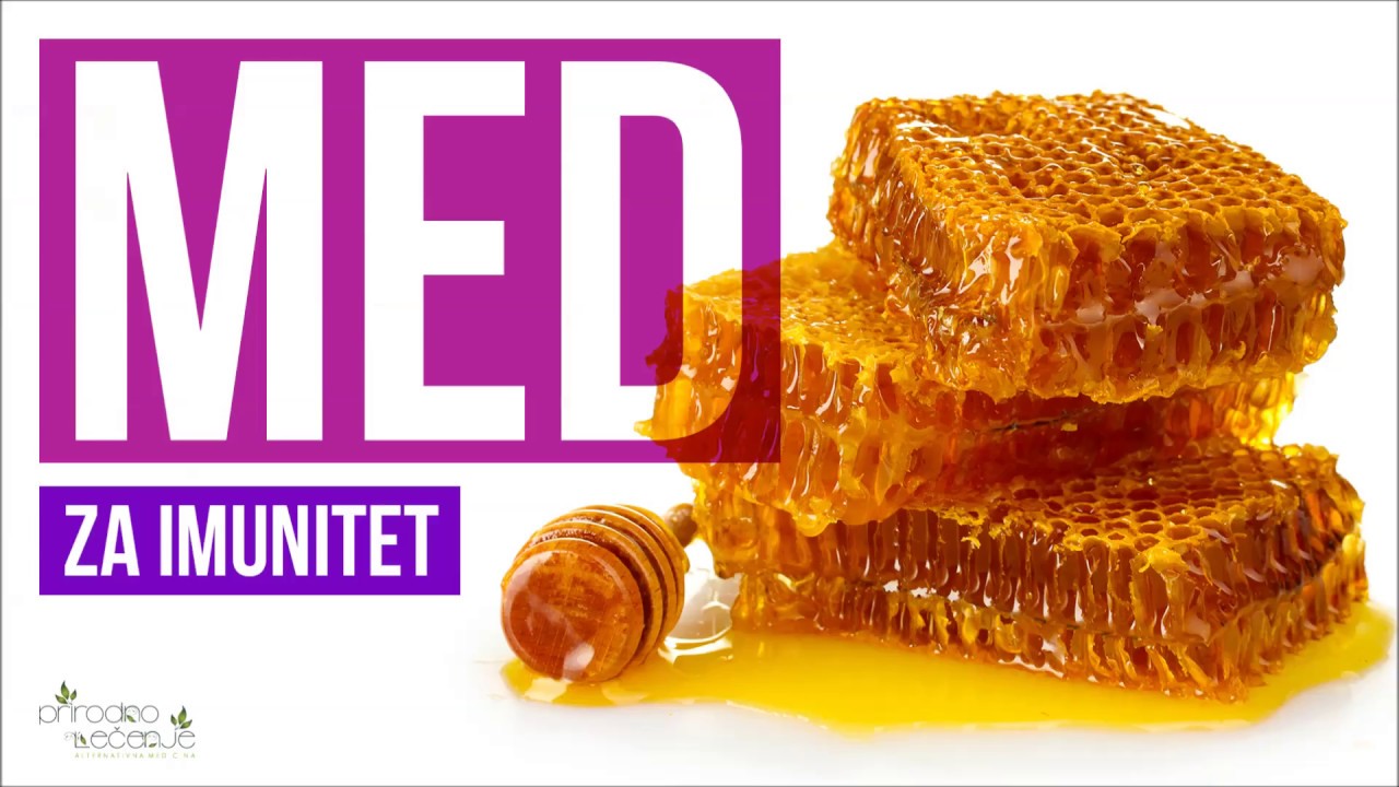 Med za Imunitet - Prirodni Lek za Podizanje Imuniteta Organizma - YouTube