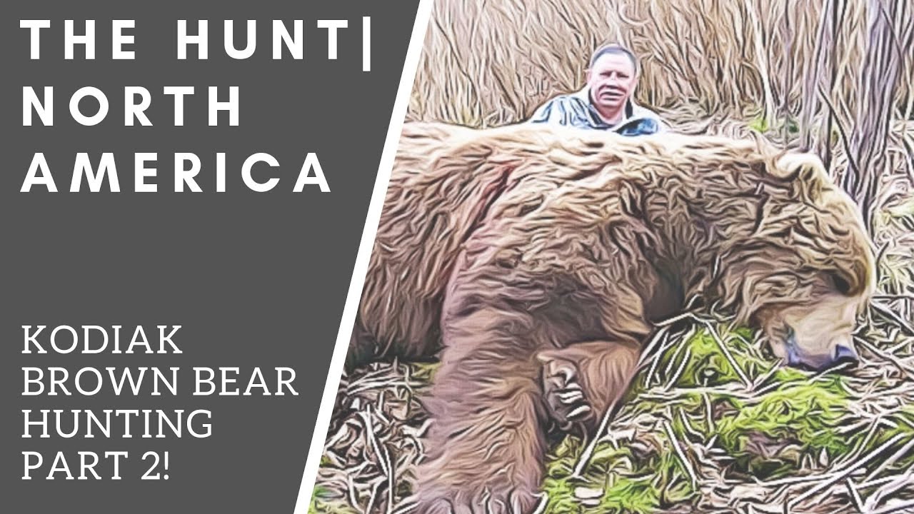 Kodiak Brown Bear Hunting In Alaska! Part 2 | THE HUNT - YouTube