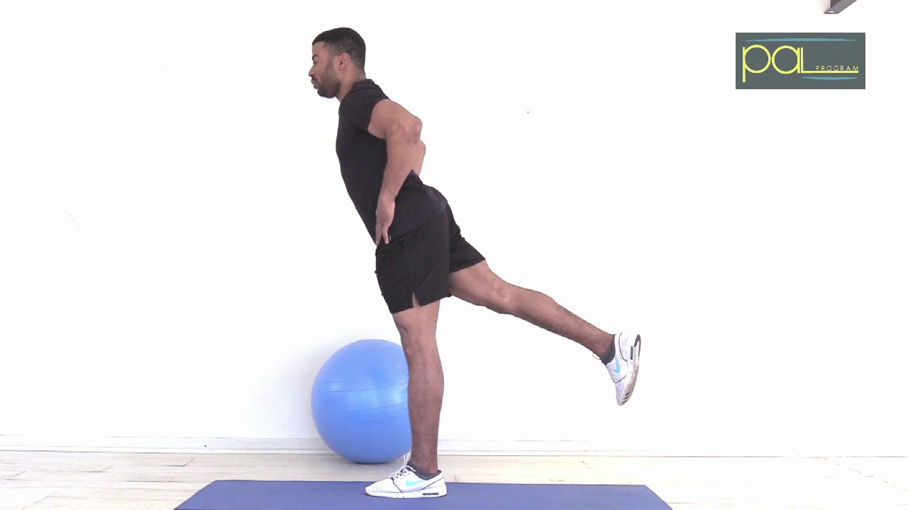 Back leg raise - static - YouTube