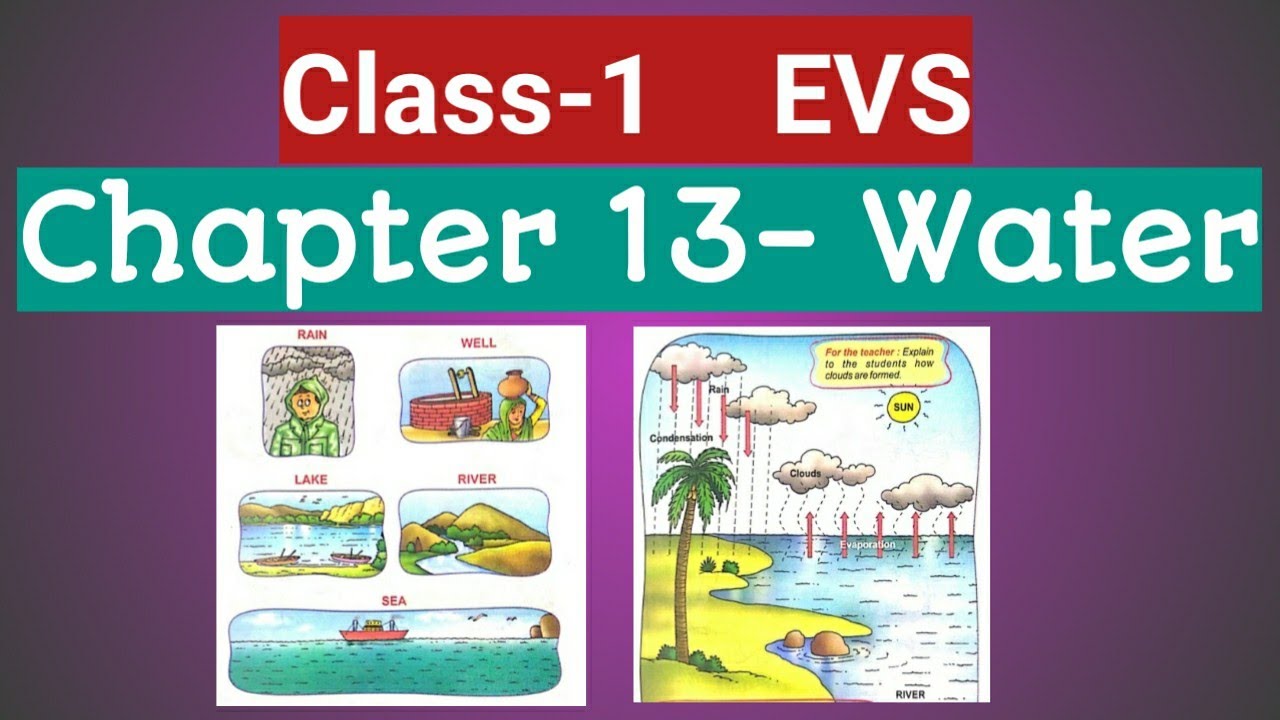 Class-1 EVS Chapter-13 Water Explanation with complete exercise - YouTube