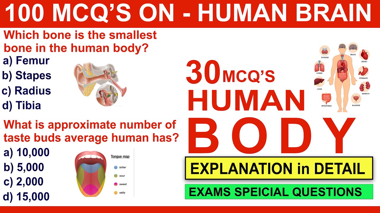 quiz human body facts | 30 gk human body general knowledge quiz ...