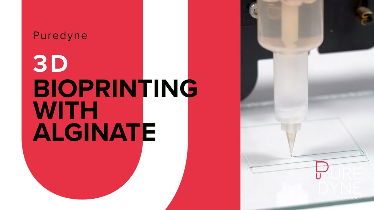 3D Bioprinting with Alginate - YouTube