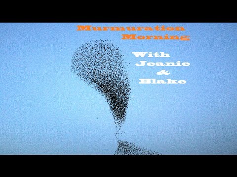 Introduction to Murmuration - YouTube