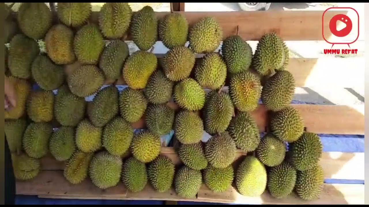 Seblm blk kehotel.mampir makan durian.pinggir jalan - YouTube