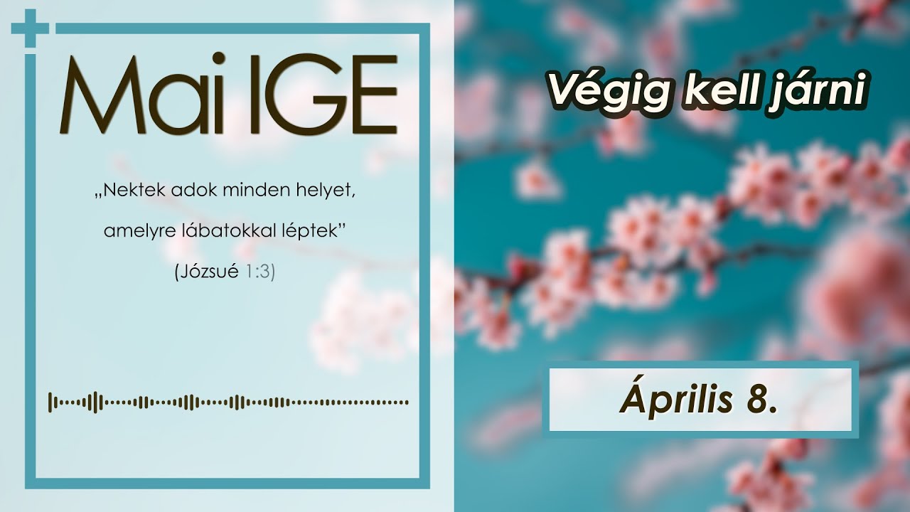 Mai IGE - Végig kell járni - 2024.04.08 - YouTube