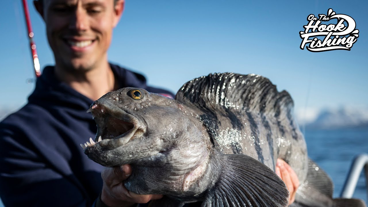 Catching an Evil Creature! The Wolf Fish! - YouTube