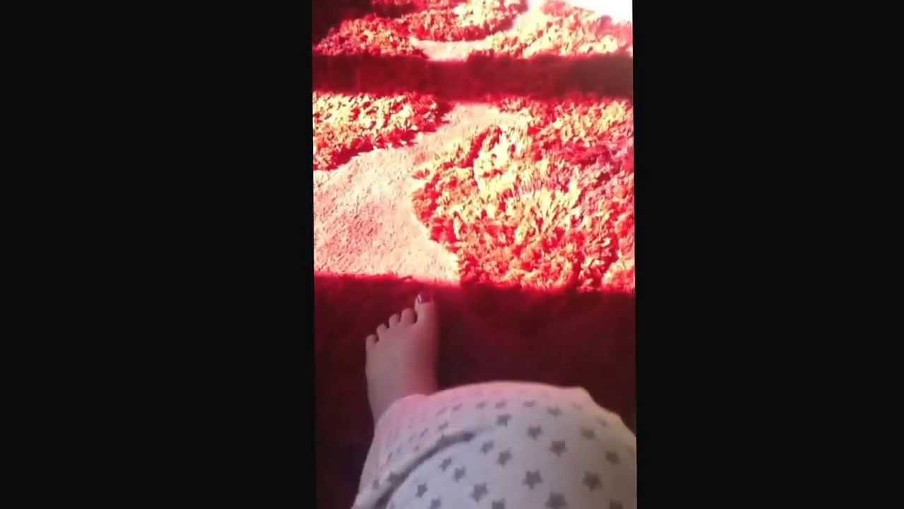 Dog try's to bite screen lol - YouTube