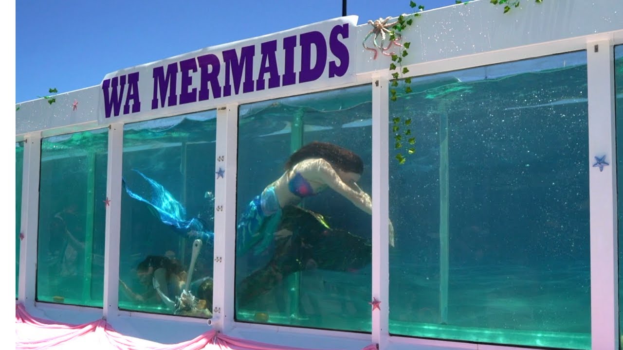 WA Mermaids Swimming in Performance Tank - YouTube